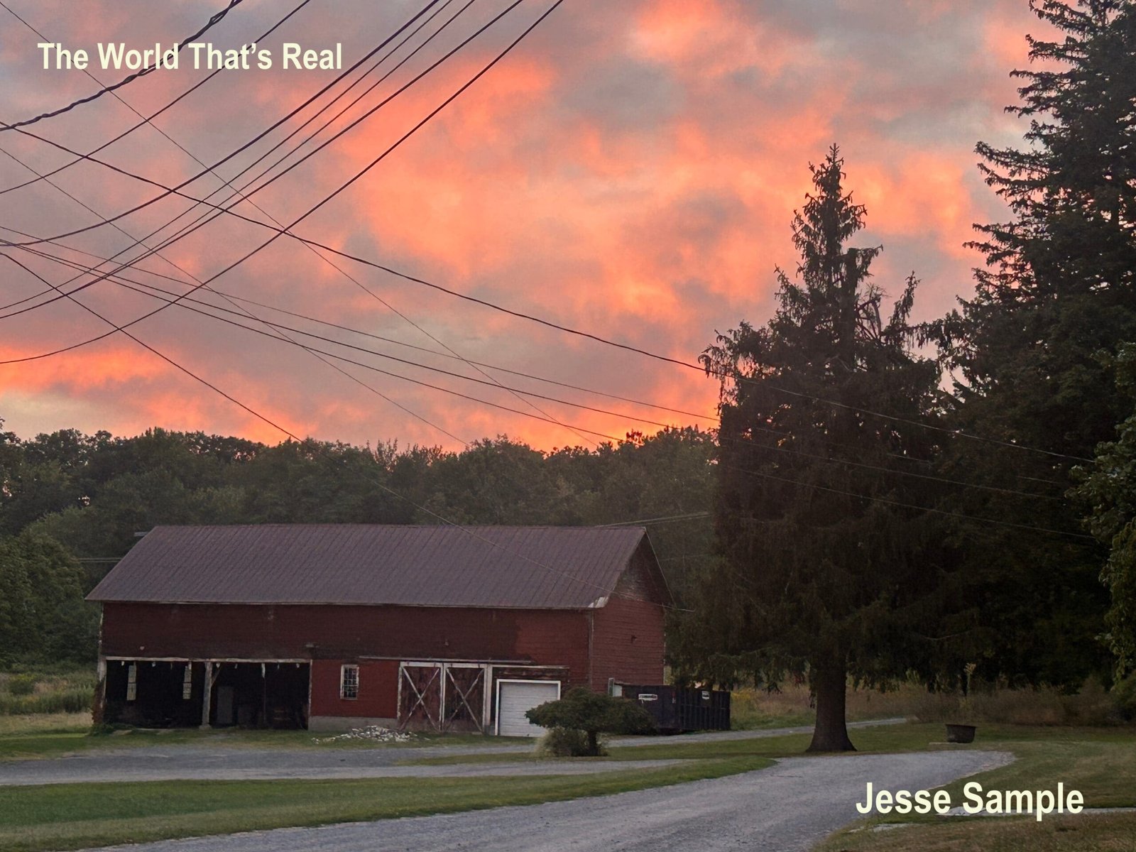 Week Thirty-Six: Jesse Sample's Freak of the Week “The World that’s ...